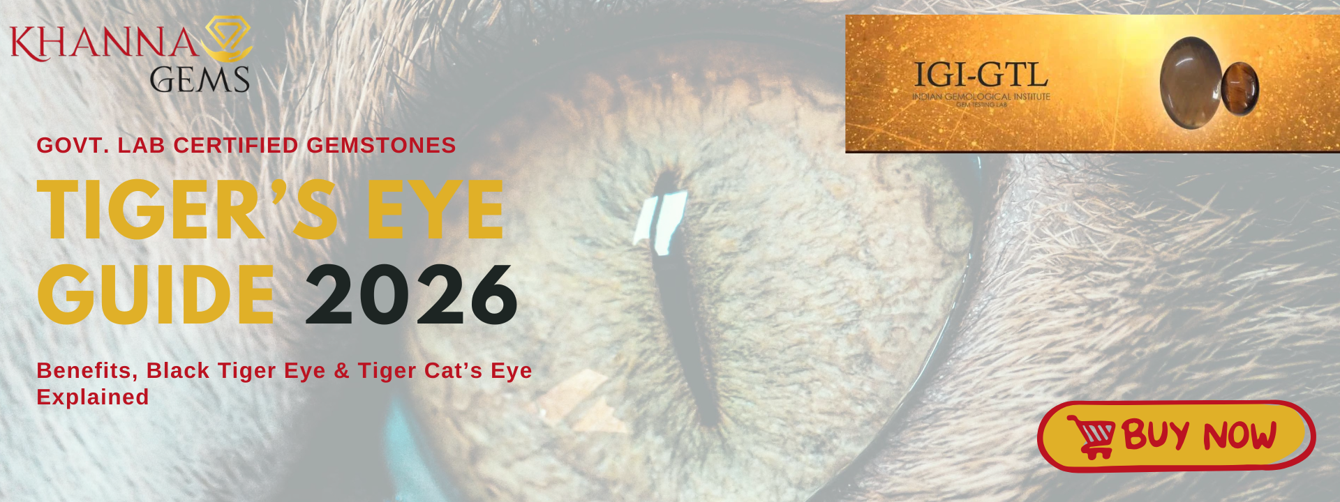 Tiger’s Eye Guide 2026: Benefits, Black Tiger Eye & Tiger Cat’s Eye ...